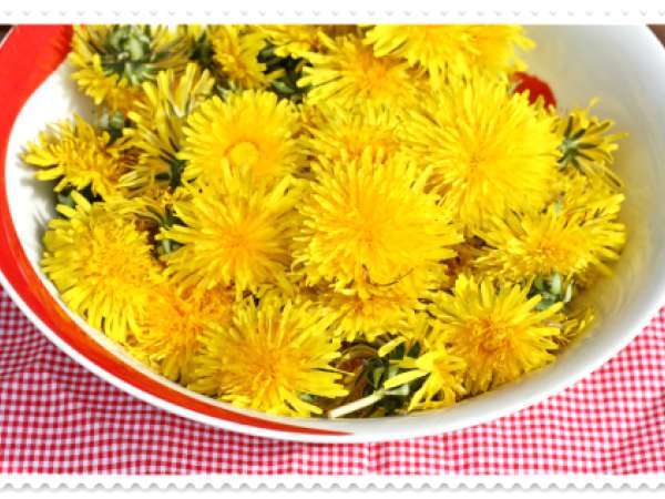?miele? di fiori di tarassaco - Ricetta Petitchef