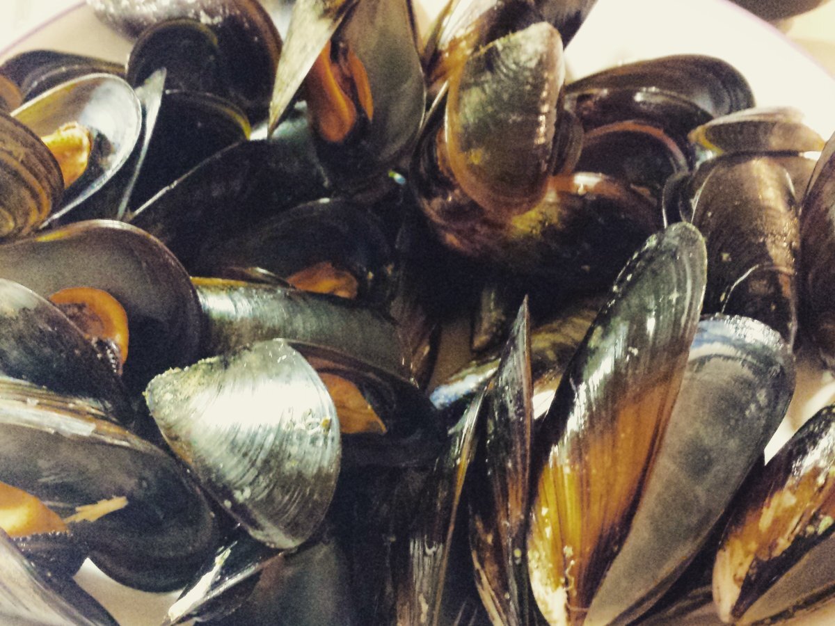 Caccavelle al sugo di vongole e cozze del conero ( moscioli ) - Ricetta ...