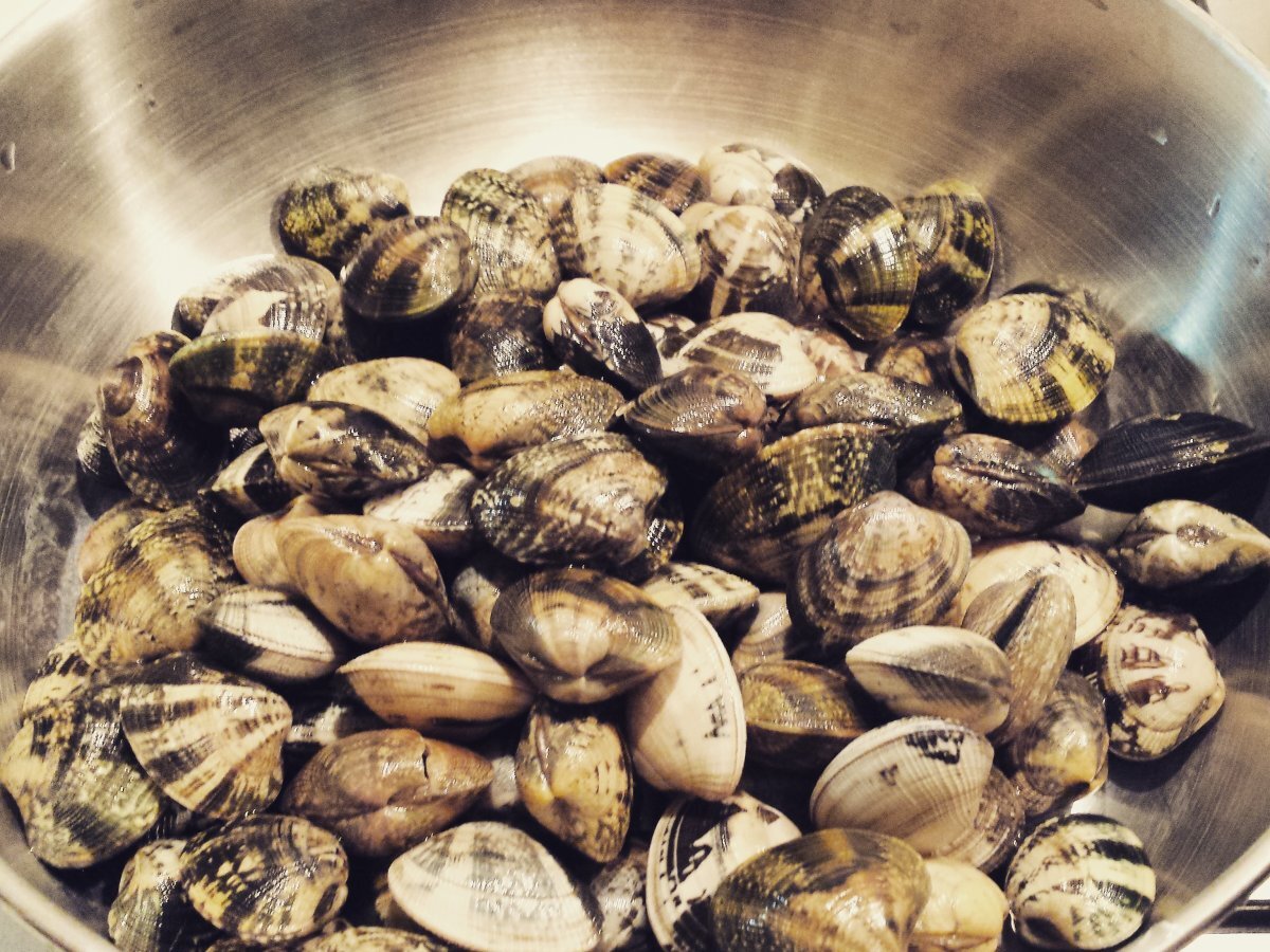 Caccavelle al sugo di vongole e cozze del conero ( moscioli ) - Ricetta ...